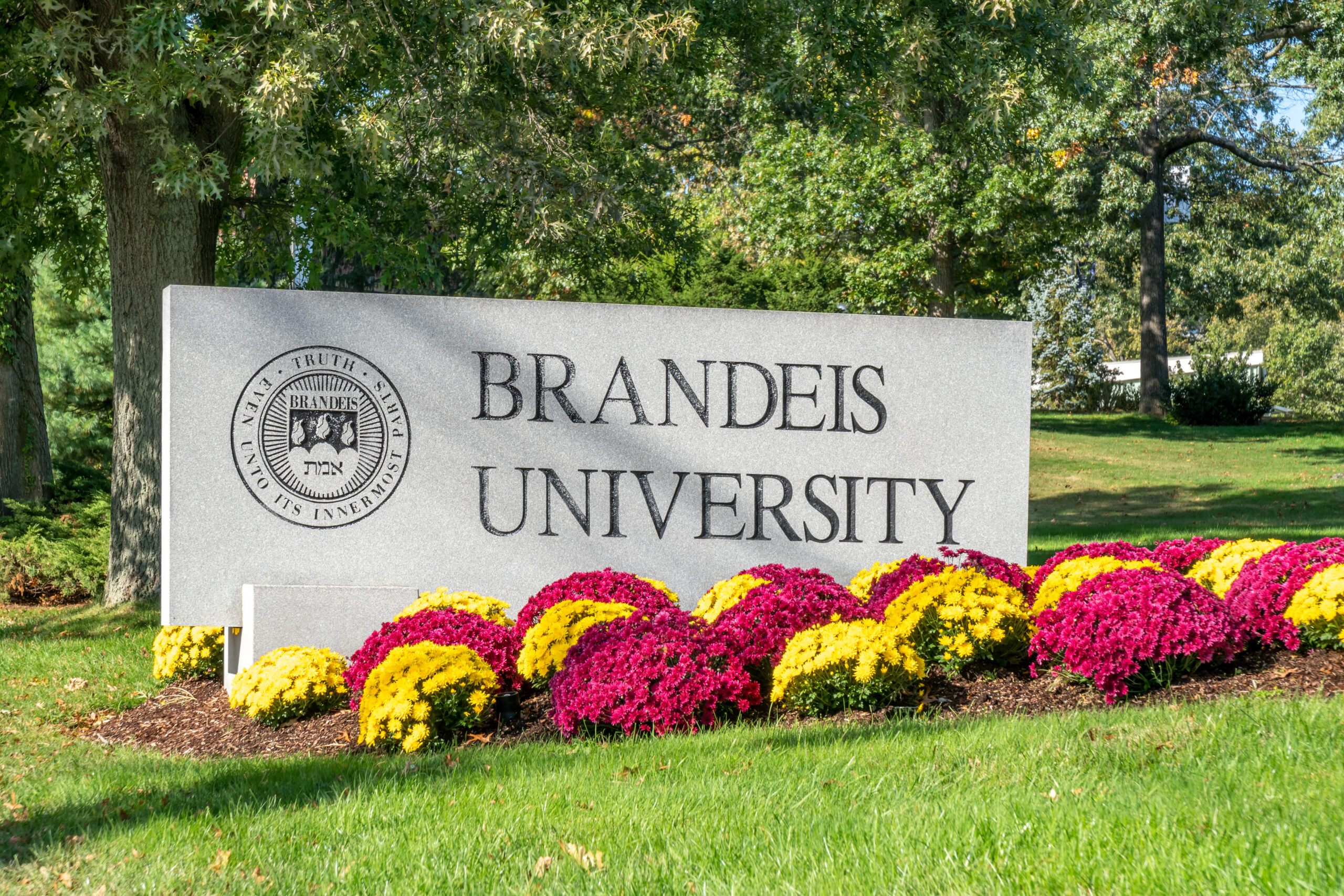 布兰迪斯大学申诉 复学指南及开除应对【最全】Brandeis University - 美国厚仁教育